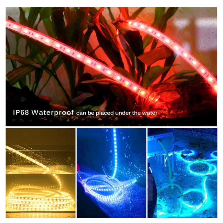 IP68 Waterproof LED Strip Lights Outdoor 5M/lot - obitol